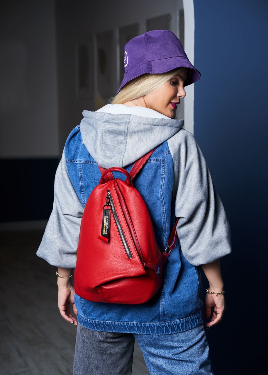 کوله پشتی مدل David Jones CM6008